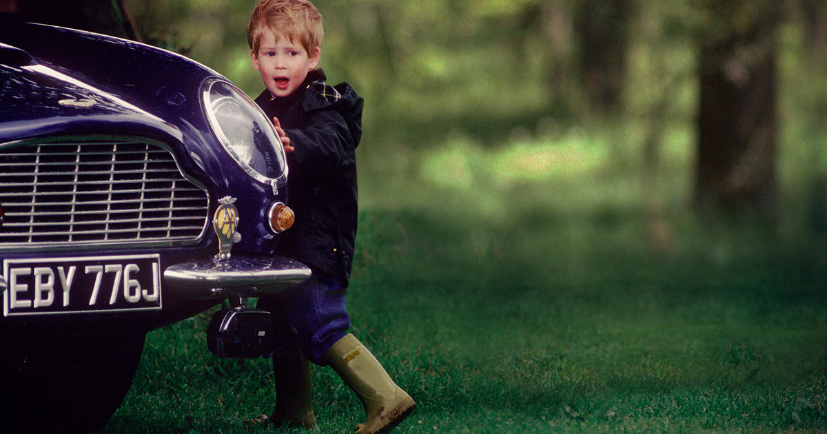 British Heritage - Wellipets