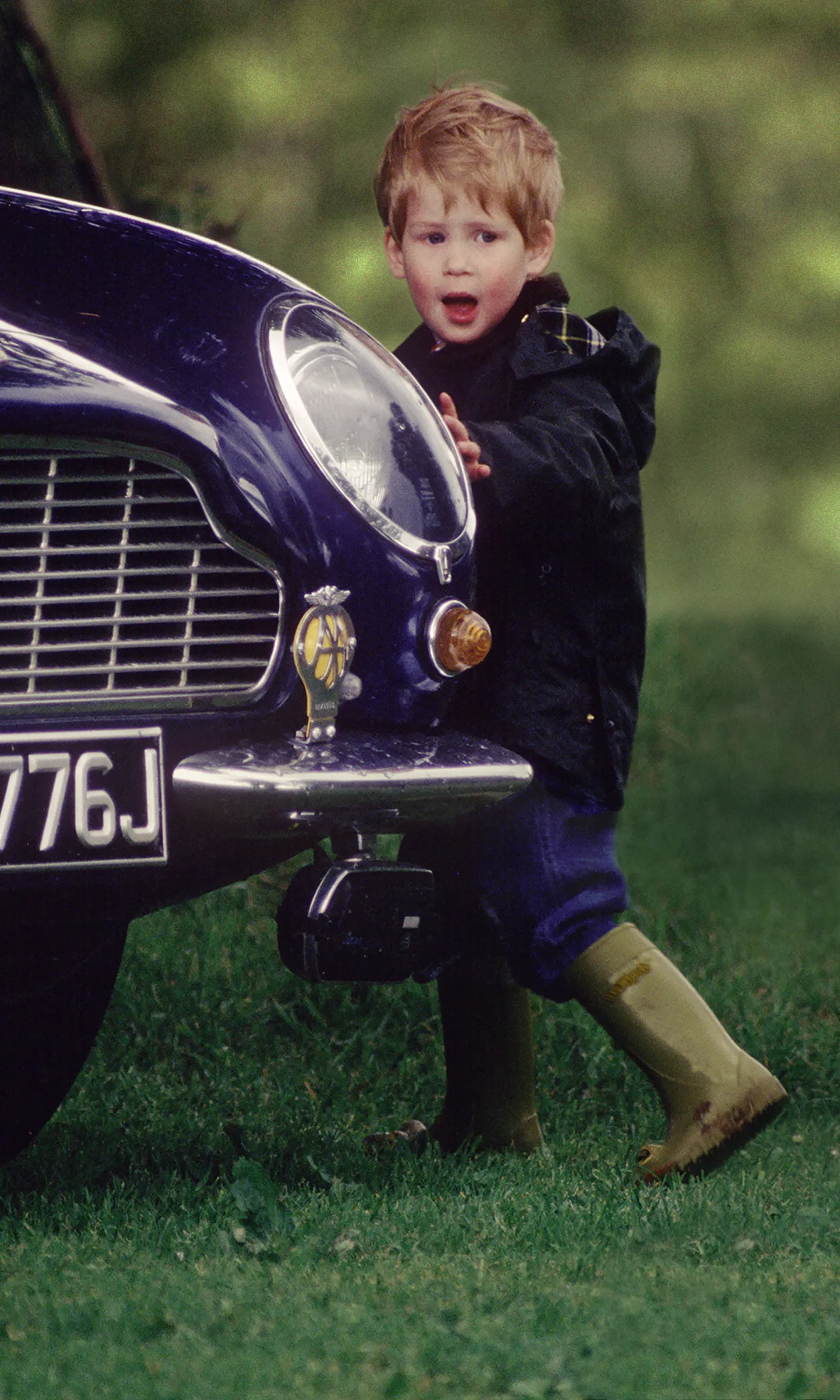 British Heritage | Wellipets