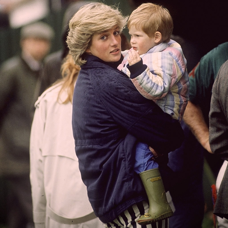 Craftsmanship - Wellipets